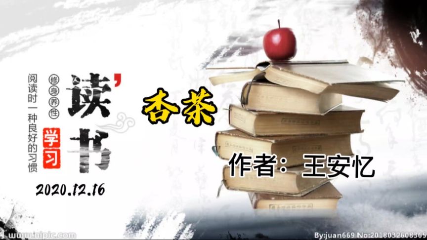 每日一读「杏茶」作者:王安忆