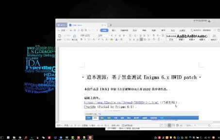 【原作者灰灰。】Enigma 6.x HWID Patch 正式版