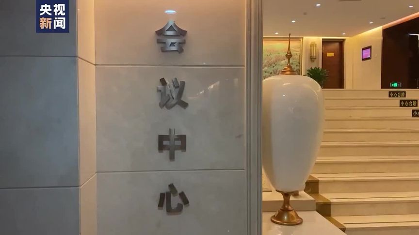 十三届全国人大三次会议代表团分组审议如何进行?记者带你看