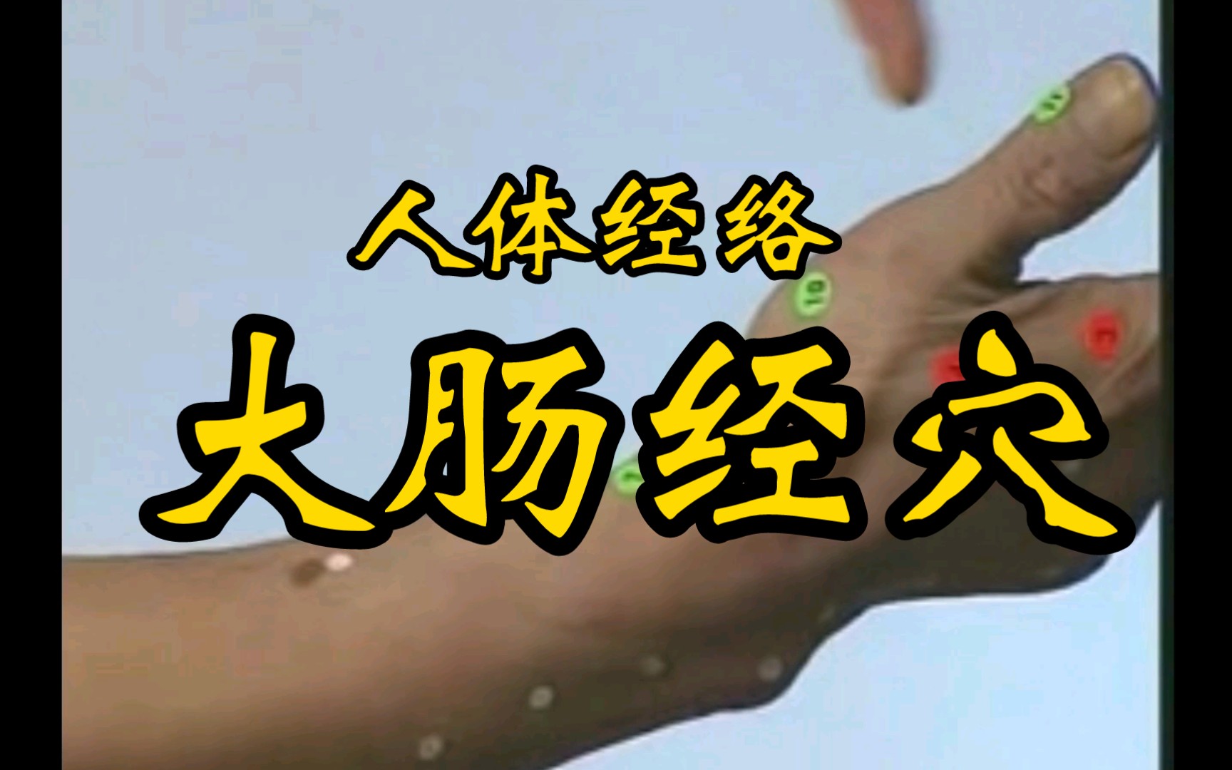 人体经络：大肠经穴