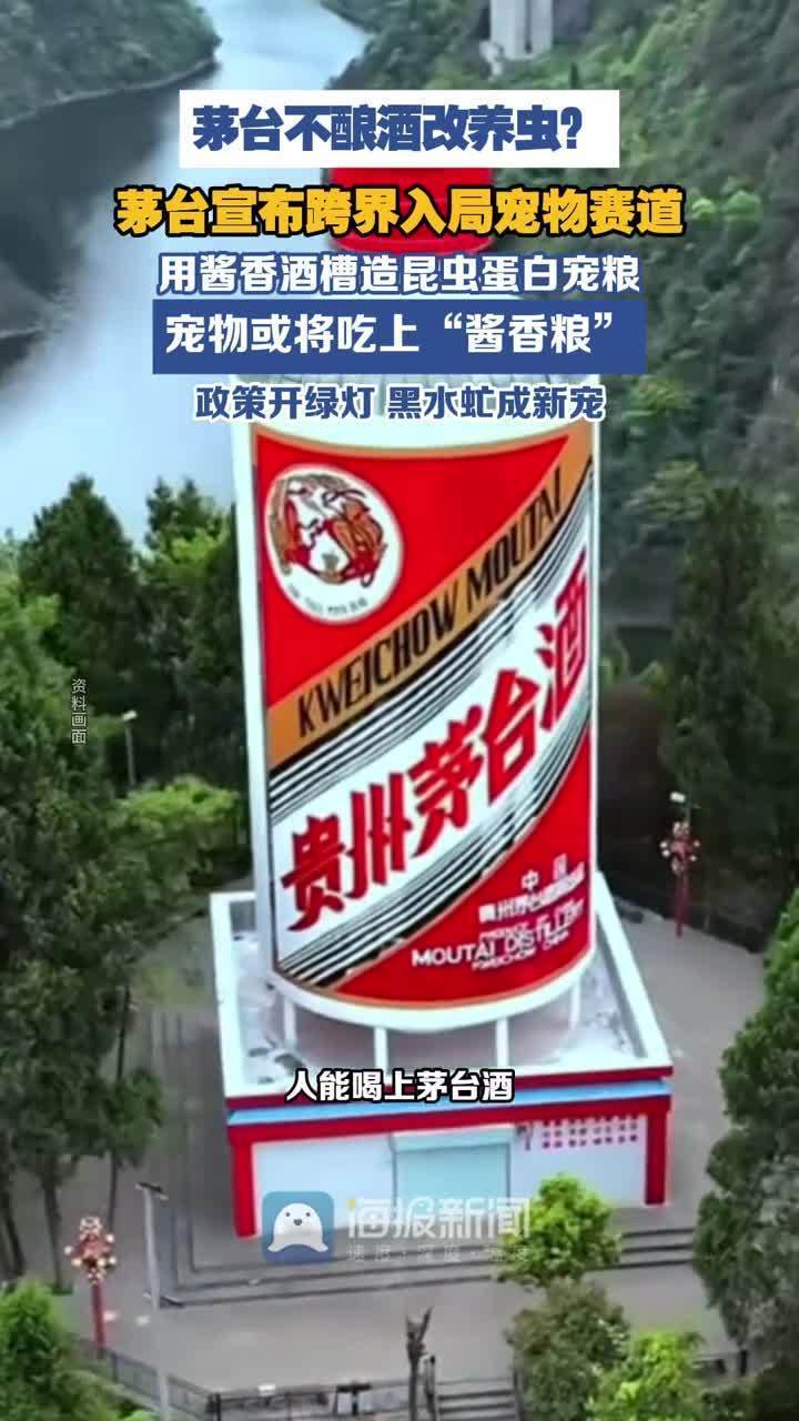 茅台不酿酒改养虫?茅台宣布跨界入局宠物赛道都市现场 #热点 #热点新闻事件 #萌宠 #宠物 #茅台