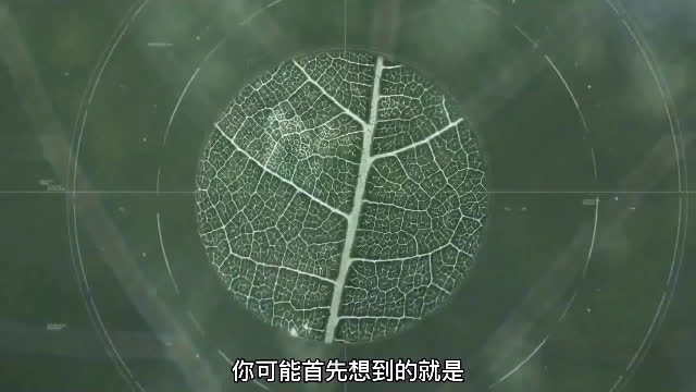 量子计算机是什么?为什么说它可以改变世界?
