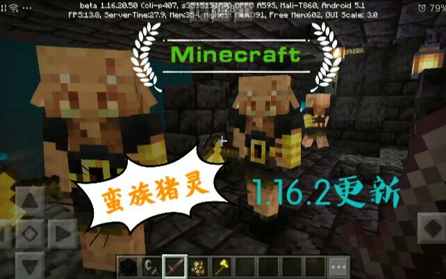 【我的世界1.16.2】蛮族猪灵更新,地下城再次更新!