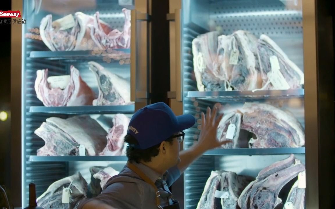 Dry-Ager德国DX 500干式熟成柜恒温恒湿商用牛肉排酸柜湿式冷藏...