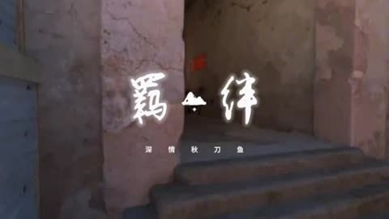 CSGO精彩集锦,实况解说带你领略游戏魅力