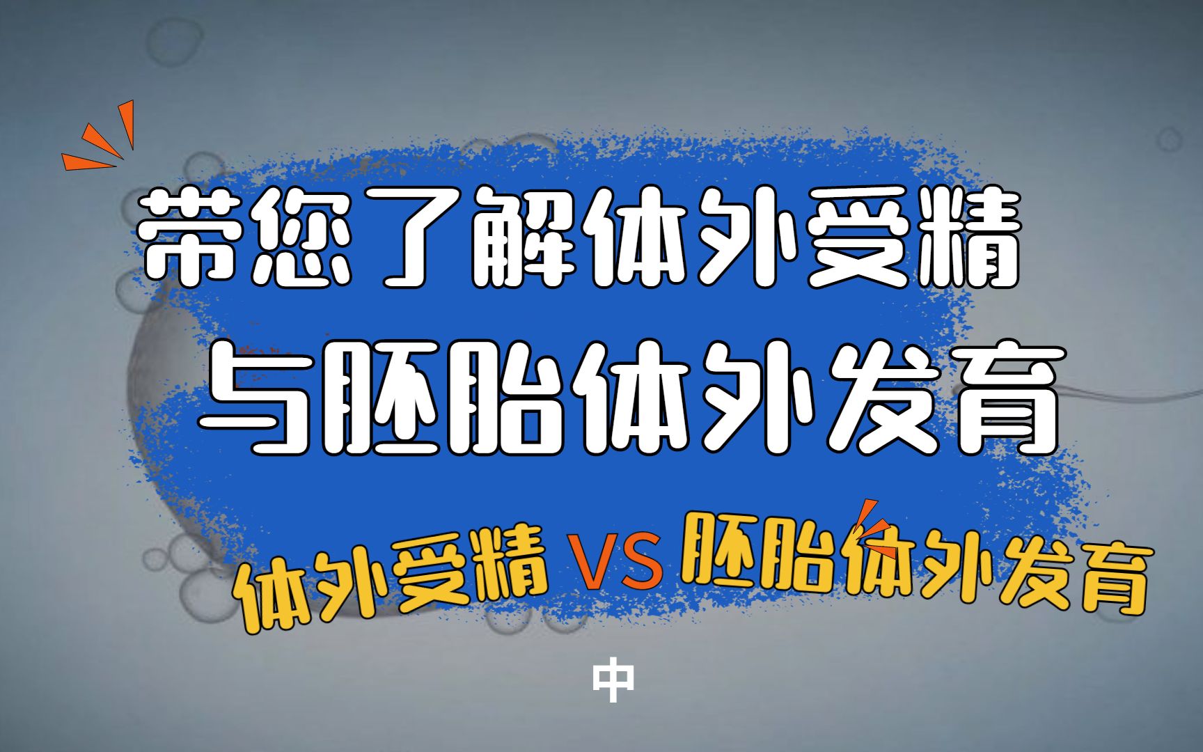 带您了解体外受精与胚胎体外发育 (中)