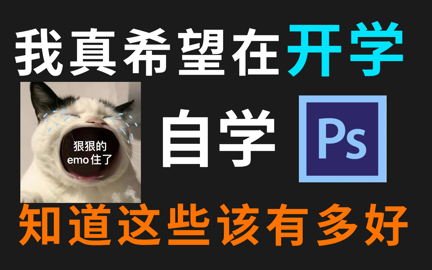 呕心吐血整理!2022PS全套教程300集,学不会up主退出设计区!PS基础/...