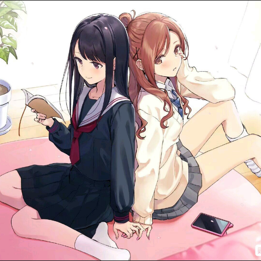 SHE海豚 