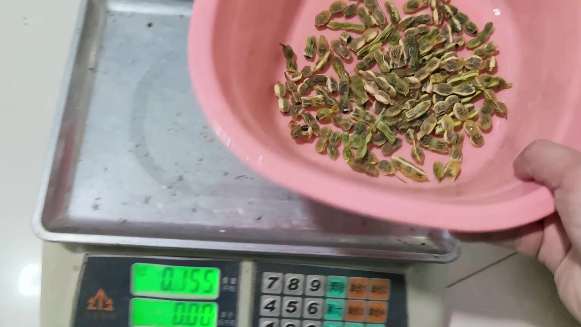 自制槐实膏（切勿模仿）