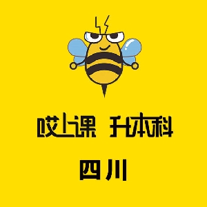 四川专升本小哎 