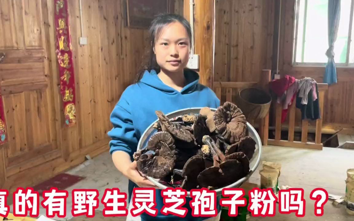 野生灵芝孢子粉功效与作用,孢子粉一斤9000块,千金难求