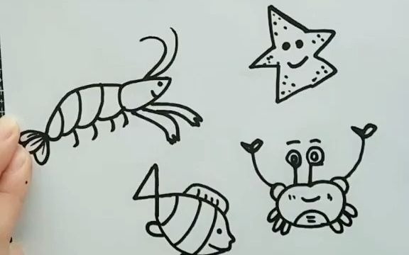 教你数字简笔画海洋动物
