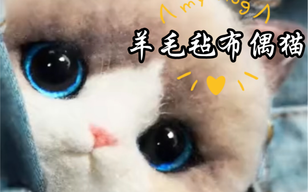 【自制】如何用羊毛毡戳一只布偶猫