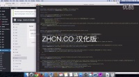 ZHCN.CO 汉化 WordPress 主题 Bridge-垂直分隔,社交媒体,404