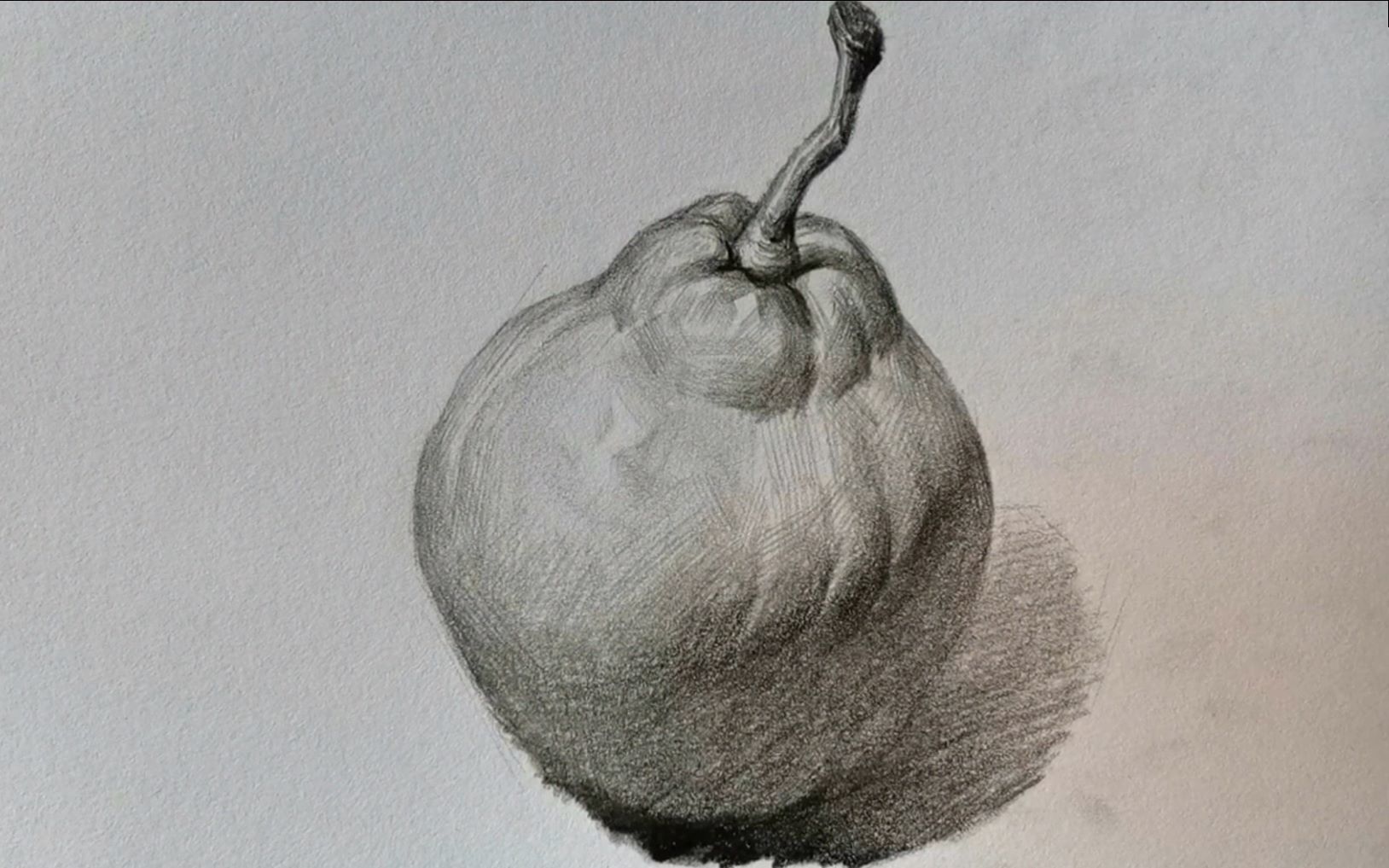 【素描静物】梨