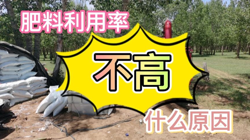 肥料利用率不高神马原因?