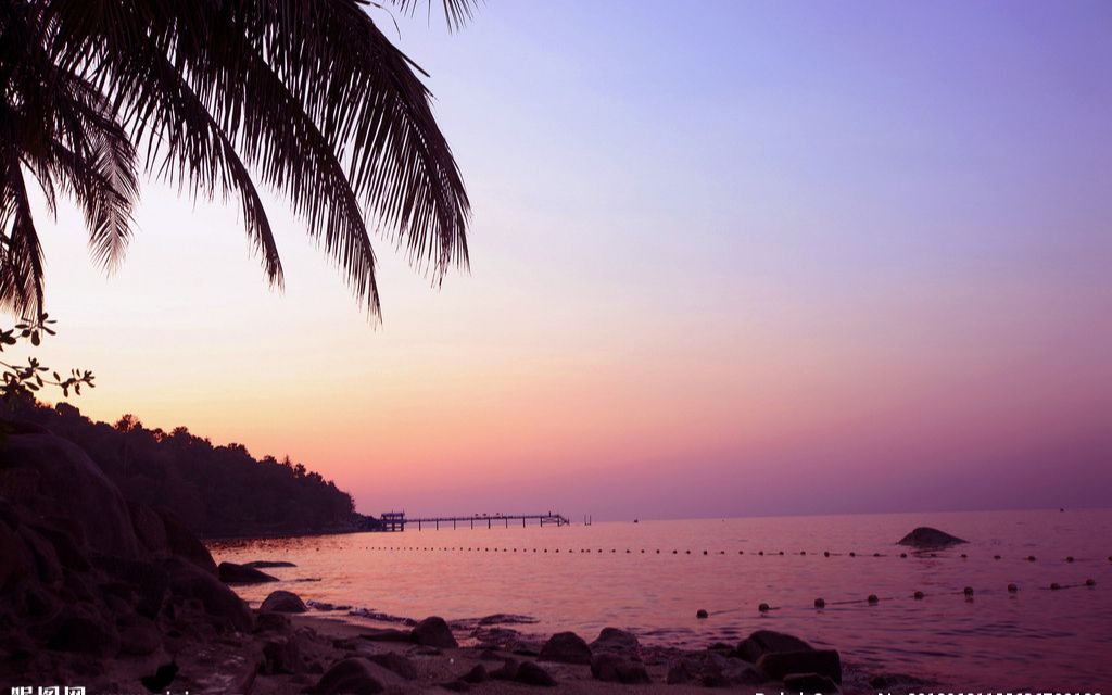 2018鼎信诺取数方法