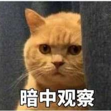煌上煌霜鸟翅尖 