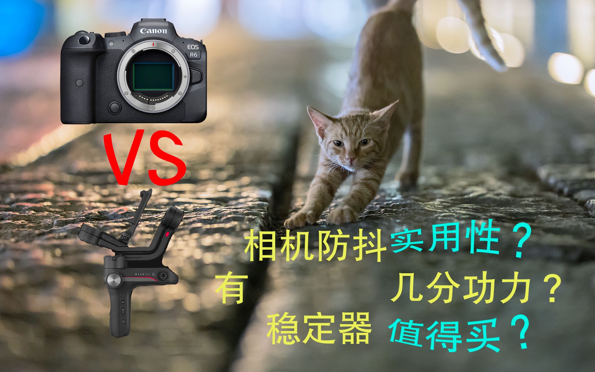 EOS R6的防抖能有稳定器几分功力?【R6长测Part8】
