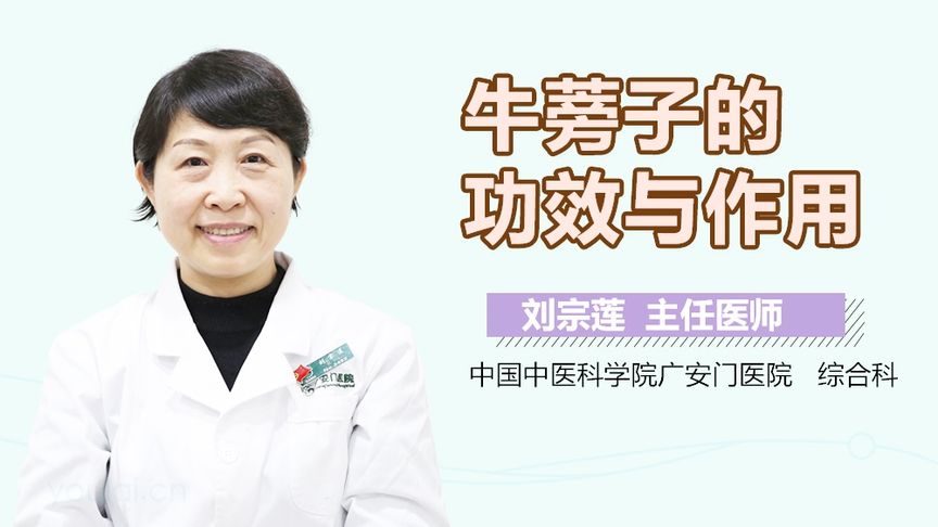 这些牛蒡子的功效与作用,太强大了,后悔没早知道!