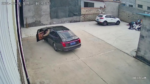 下车一定要检查挂没挂P档行车安全注意安全小心驾驶