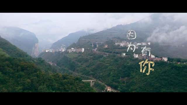 禁毒公益宣传片:《因为有你》 #禁毒