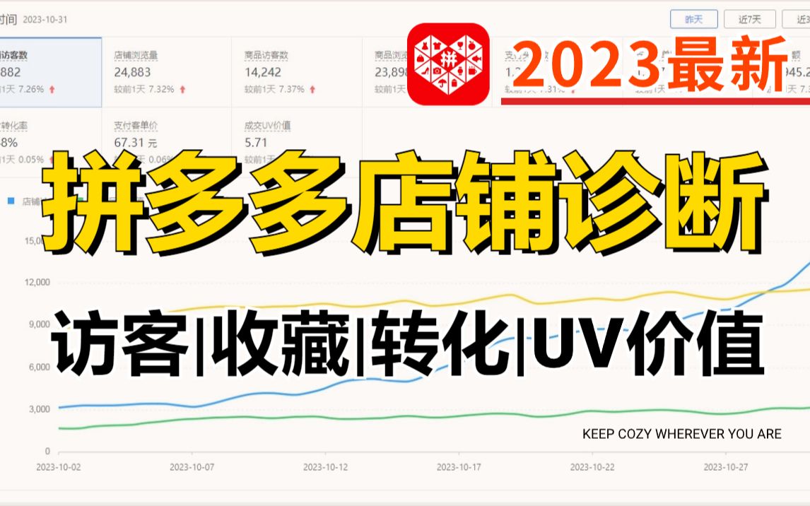 ...运营店铺诊断分析全部知识(访客/收藏率/转化率/UV价值/客单价)加字幕