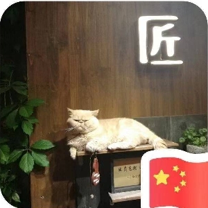 小米之家BYD绿杨春茶 