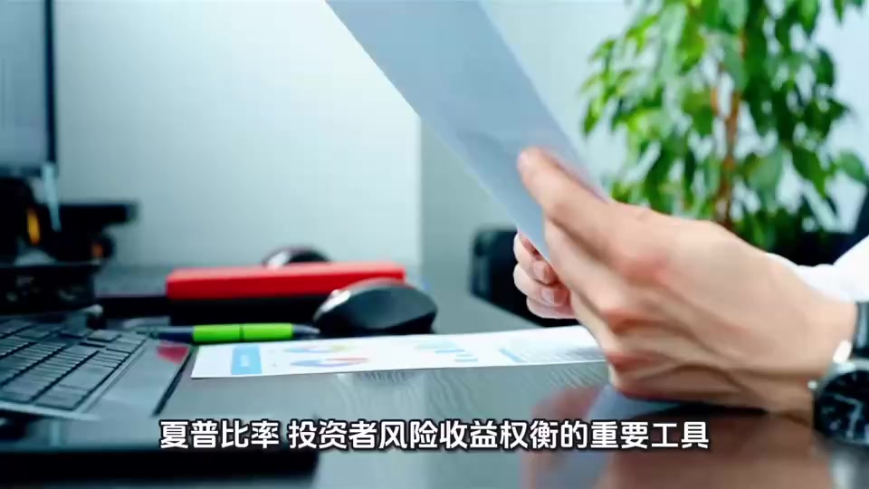 一分钟带你了解夏普比率