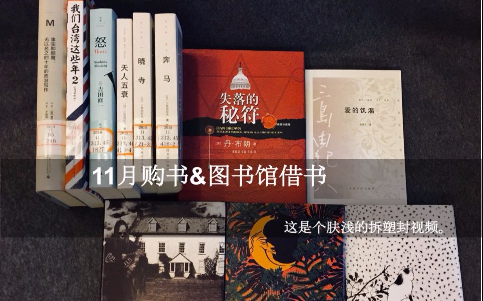 读书计划——11月购书&图书馆借书