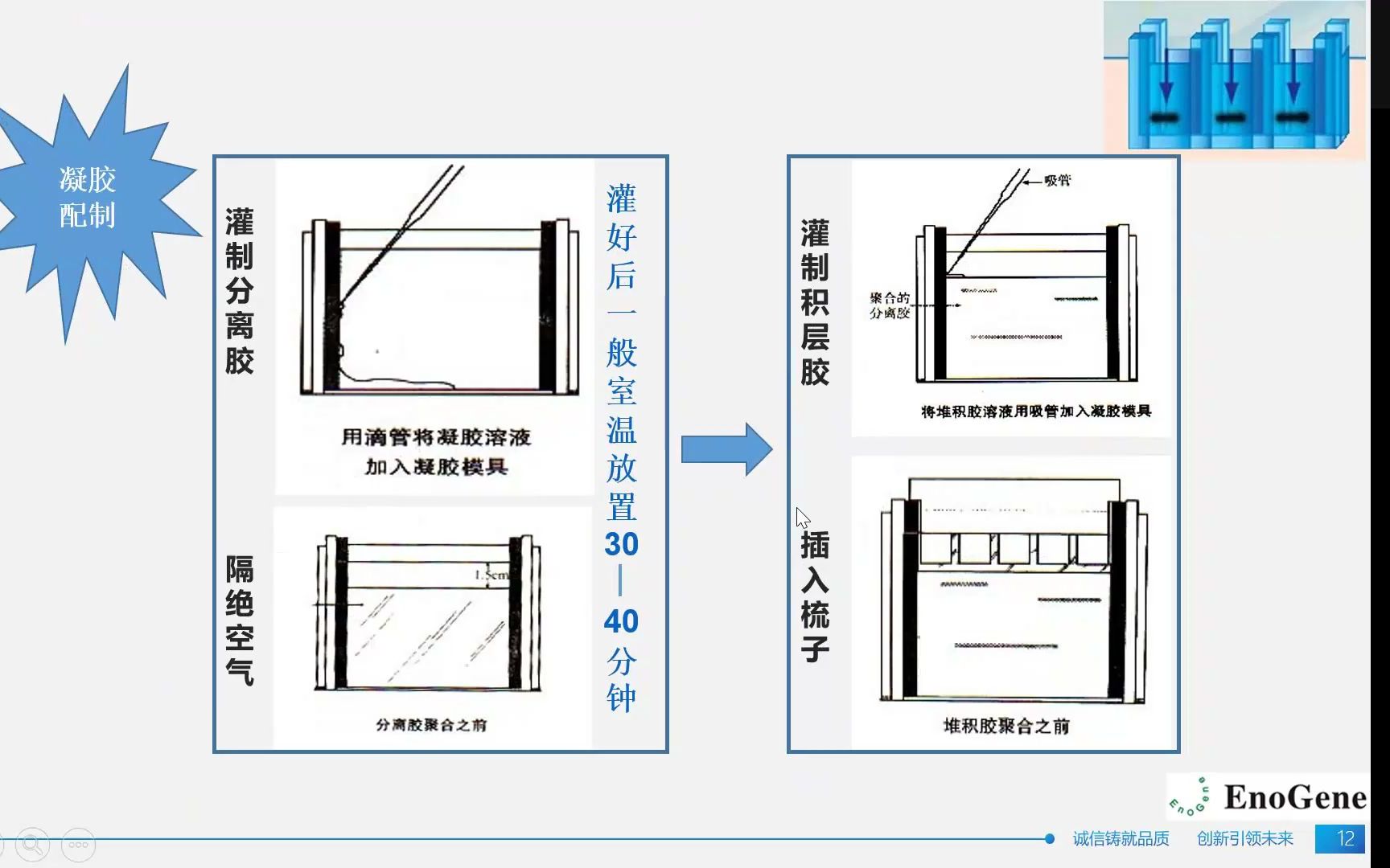 如何铸就成功的Western Blot