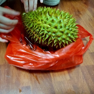 摸鱼烤工屋 