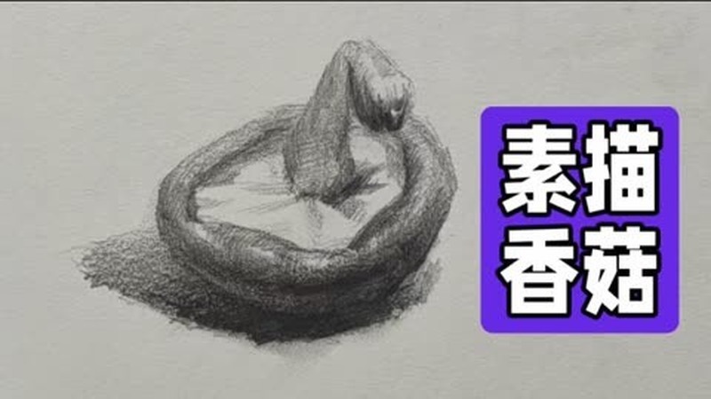 素描香菇的画法,步骤简单,小白轻松就能学会