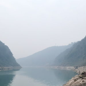 新福克斯全国总吧主 