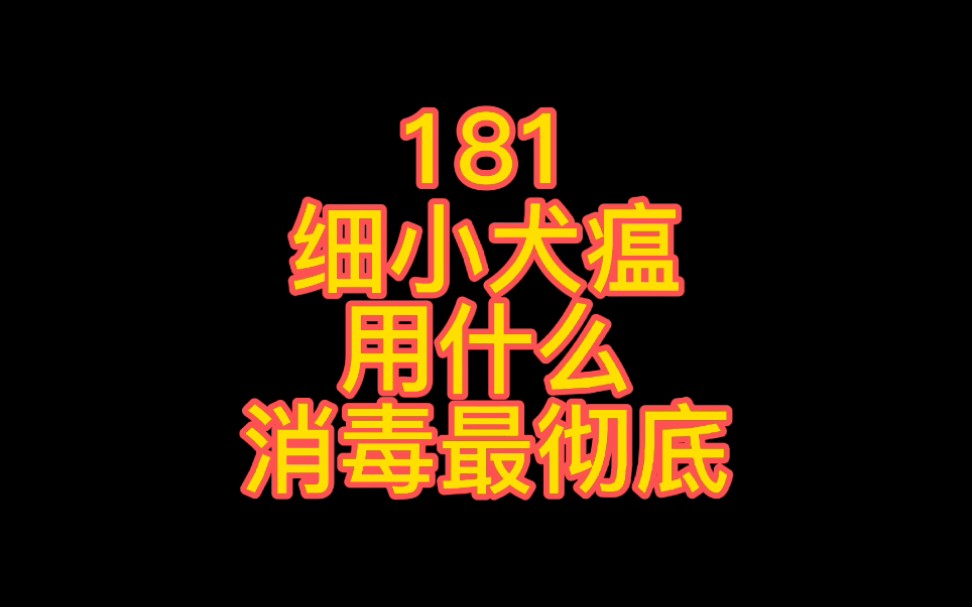 181-细小犬瘟用什么消毒最彻底