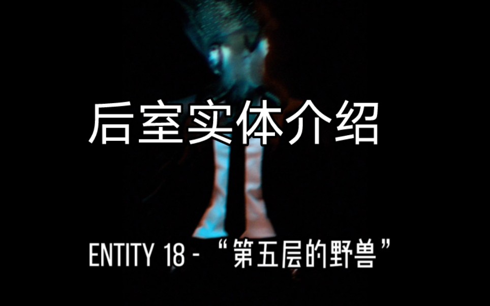 后室实体介绍Entity 18 - “第五层的野兽”
