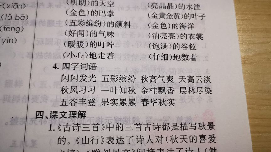 三年级语文上册第二单元知识要点—四字词语