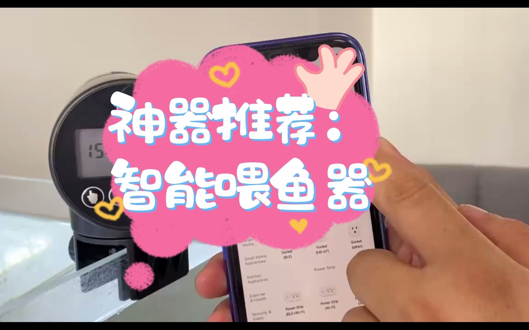 智能定时喂鱼器!今天教大家如何快速设置好