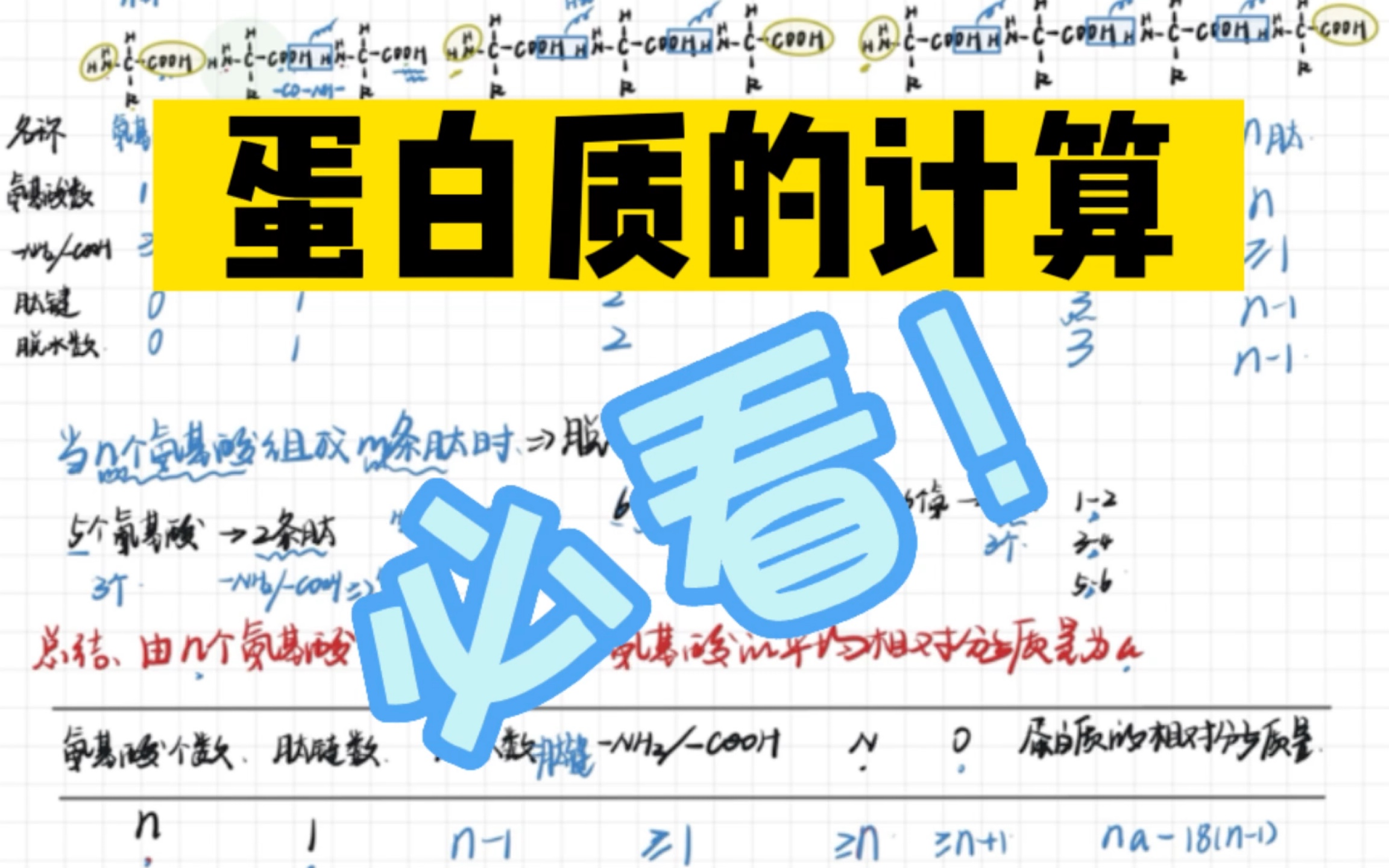 高中生物重难点-蛋白质的计算,知识点+题目练习解析