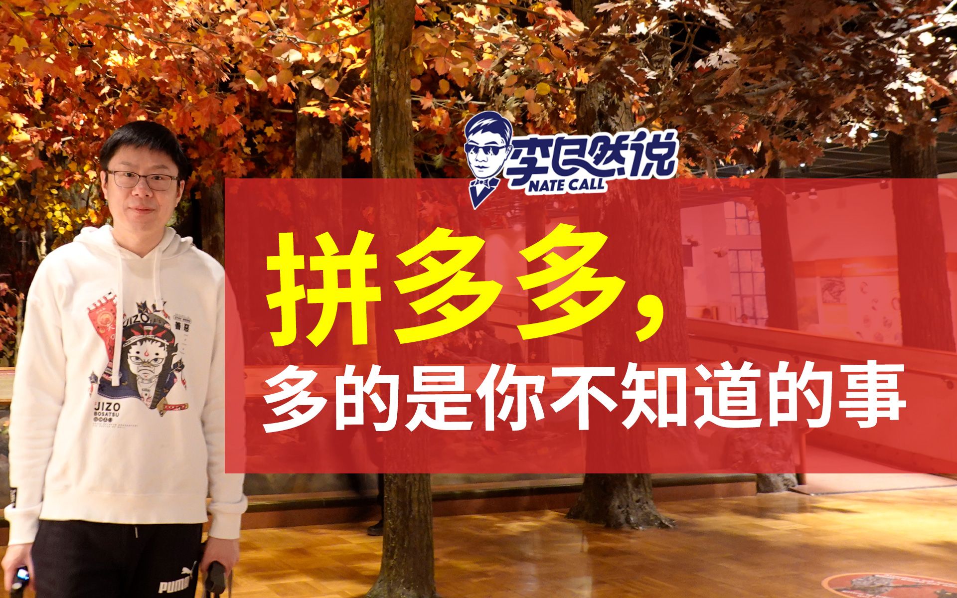 【李自然说】拼多多,多的是你不知道的事