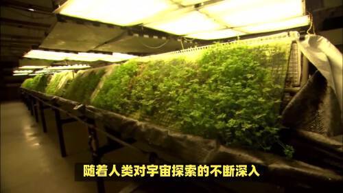 从太空农业到智能监测:星际航行中的生态循环系统研究