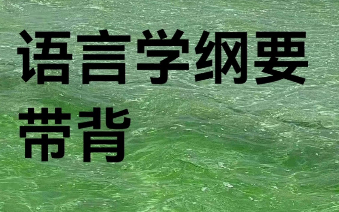 【考研】语言学纲要 语言符号的作用