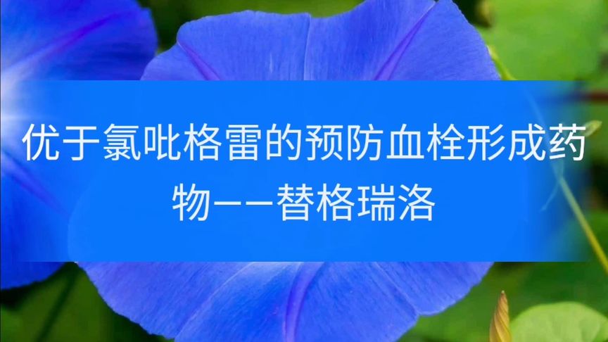 由于氯吡格雷的预防血栓形成的药物——替格瑞洛