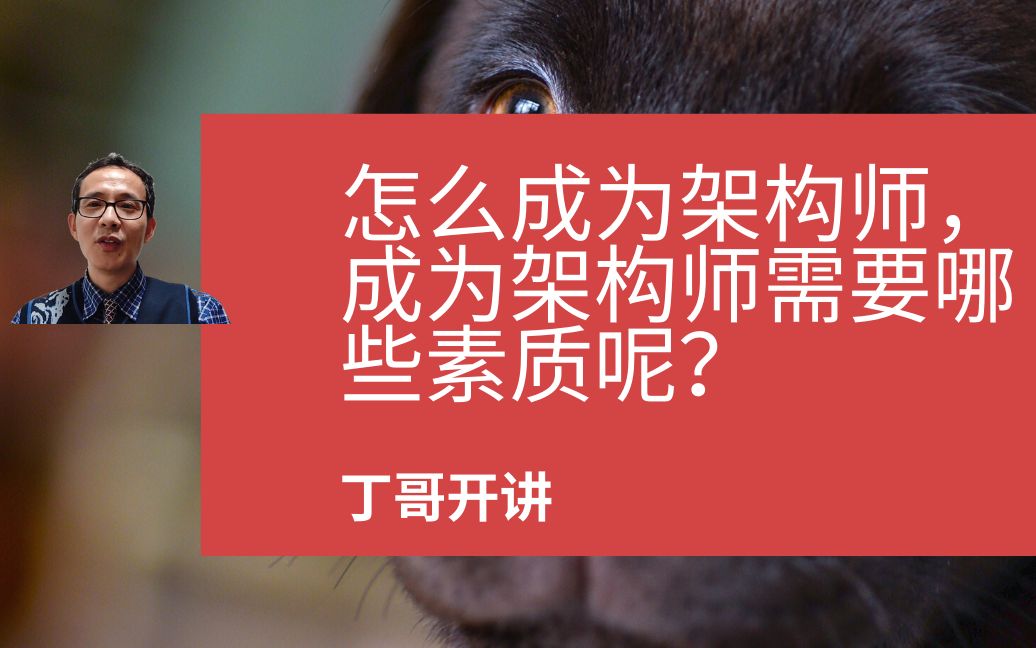 怎么成为架构师,成为架构师需要哪些素质呢?