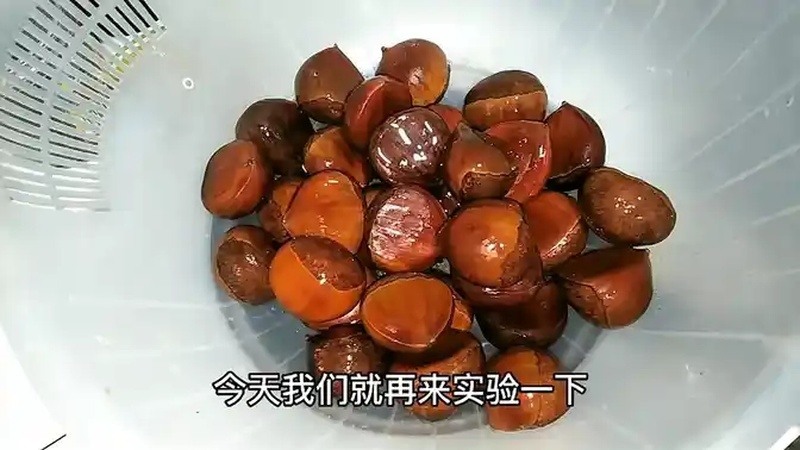 第二次实验板栗去壳去皮方法,到底是处理方法不对还是品种问题?
