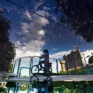 酒馆的猫粪 