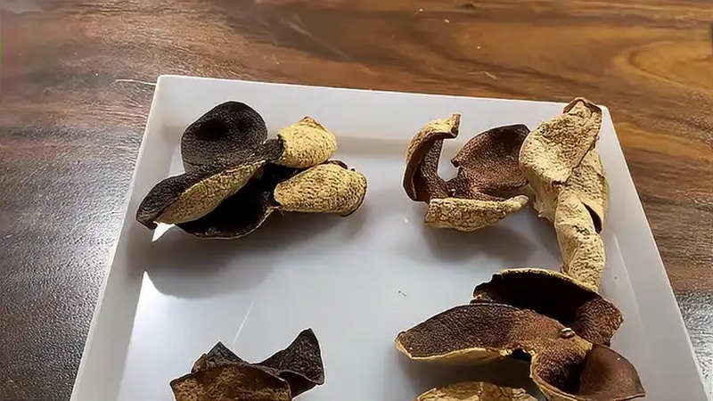 详解:为何自制橘子皮不能等同于药用陈皮