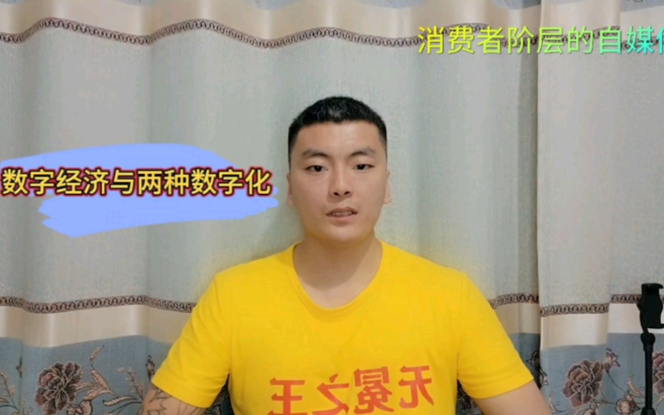 数字经济与两种数字化