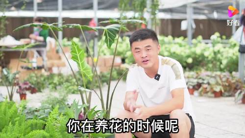 养花为什么总烂根?花盆下面垫它试试。花盆透气排水教学
