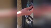 购买的 门禁卡不能用